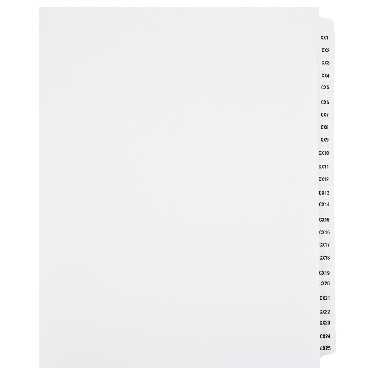 Custom Printed 25 Division Side Tabs - ExhibitIndexes.com