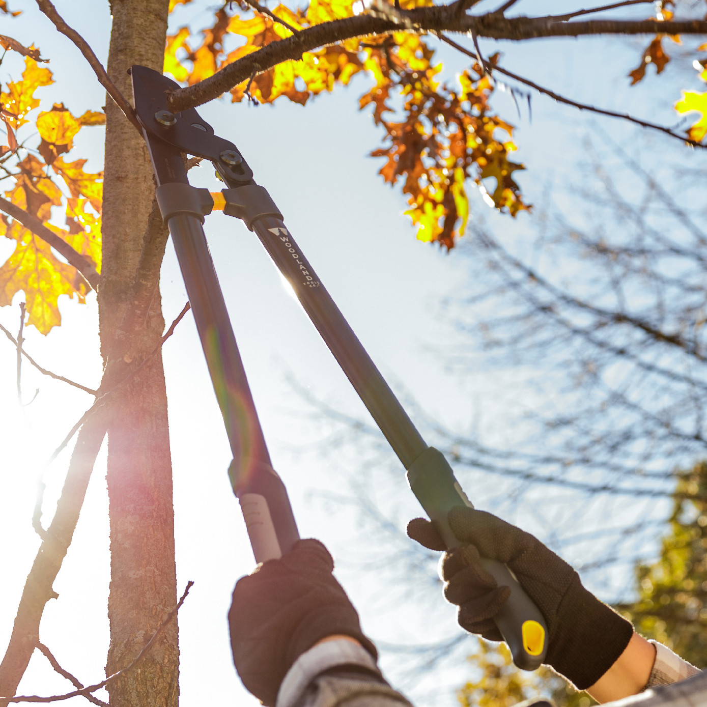 Heavy Duty LeverAction Lopper | Woodland Tools Co.