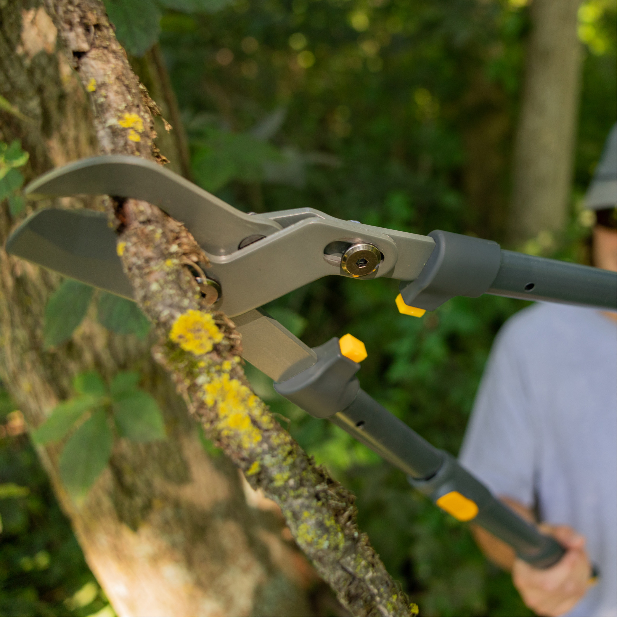 Heavy Duty Extendable LeverAction™ Lopper