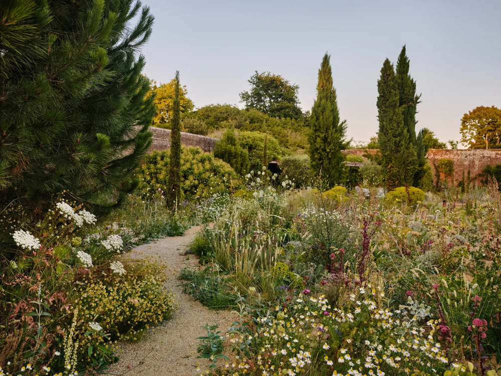Chaos Gardening: Embracing Wild Beauty in Your Backyard - Woodland ...