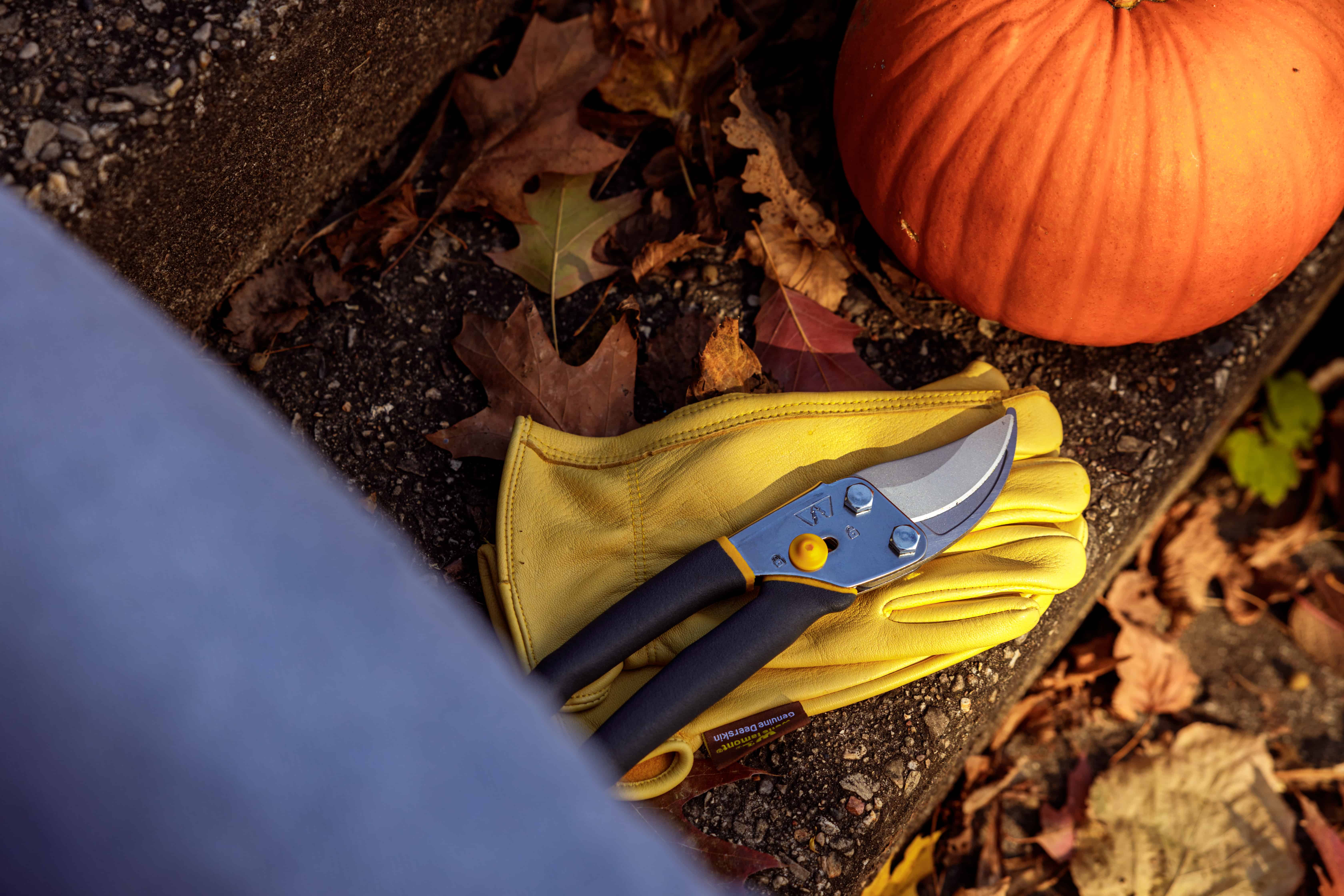 Preparing Your Garden for Winter - Woodland Tools Co.