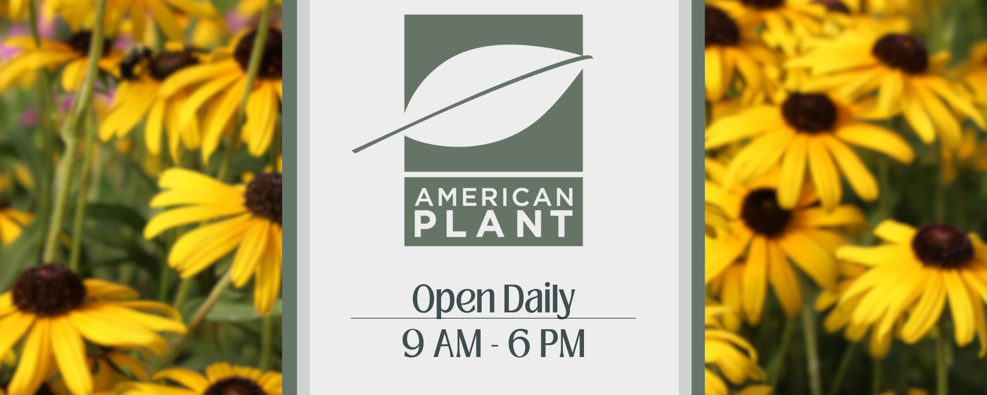American Plant-Garden Center & Nursery