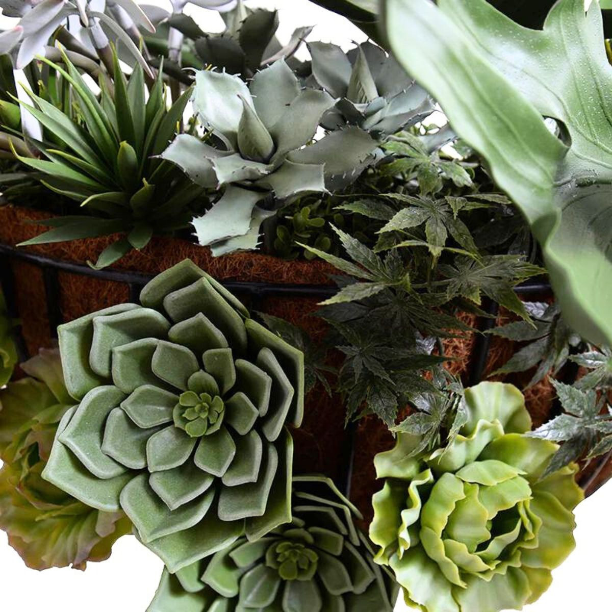 Staghorn & Succulents Mixed Hayrack Planter | UV Resistant