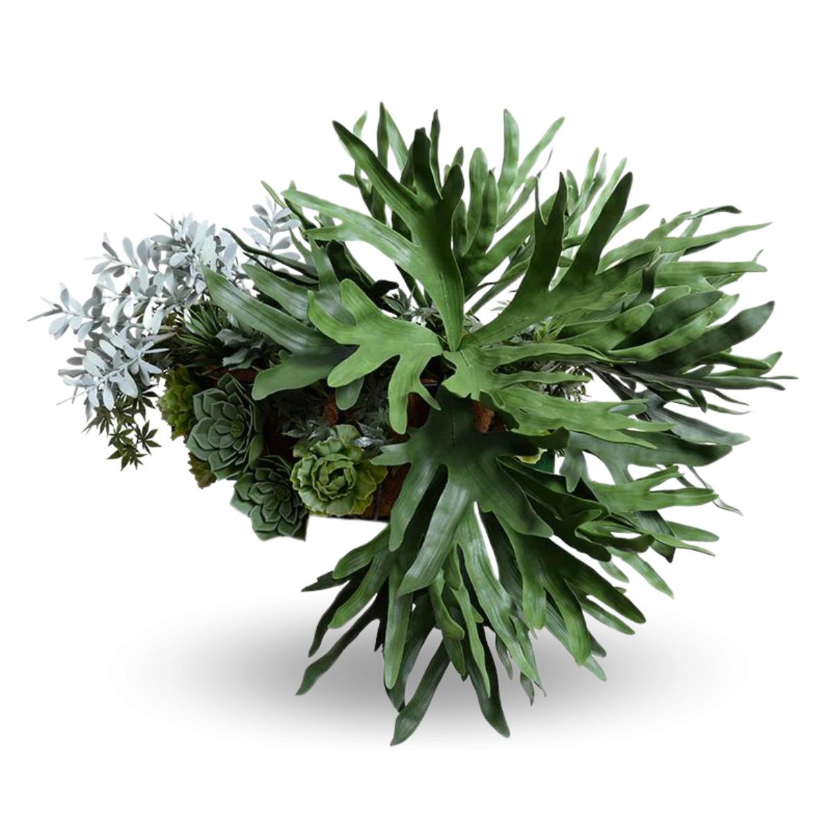 Staghorn & Succulents Mixed Hayrack Planter | UV Resistant
