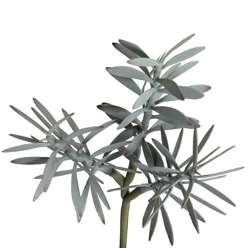 Staghorn & Succulents Mixed Hayrack Planter | UV Resistant