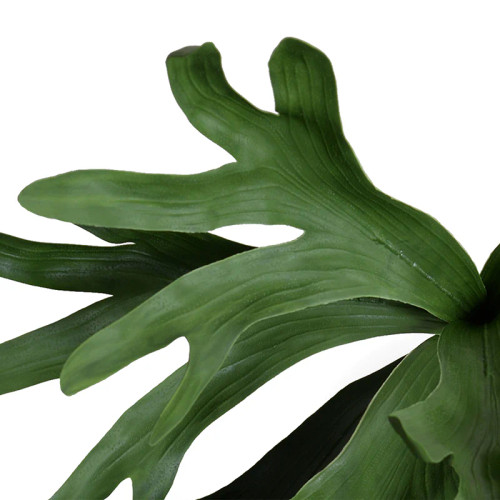 Staghorn & Succulents Mixed Hayrack Planter | UV Resistant