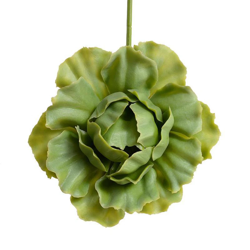Staghorn & Succulents Mixed Hayrack Planter | UV Resistant