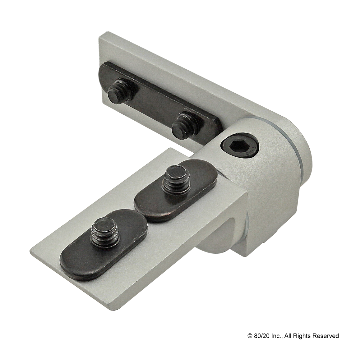 4161 | 10 Series Standard 0 Degree Dynamic Pivot Assembly with Straight ...