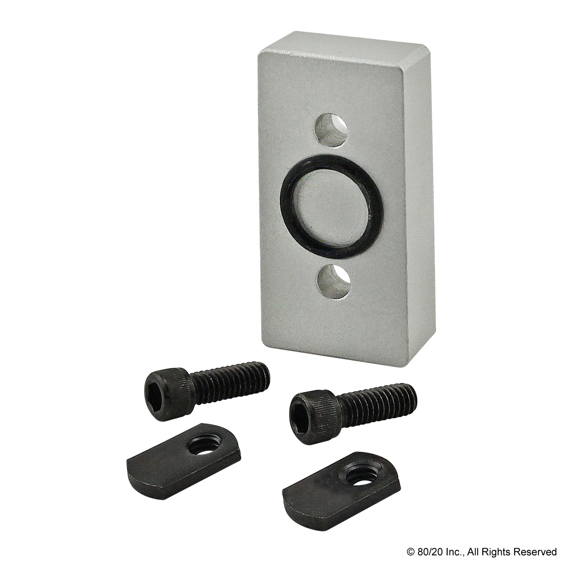 2450 | 15 Series Pressure Manifold Tap Ready Access Plate | CPI Automation