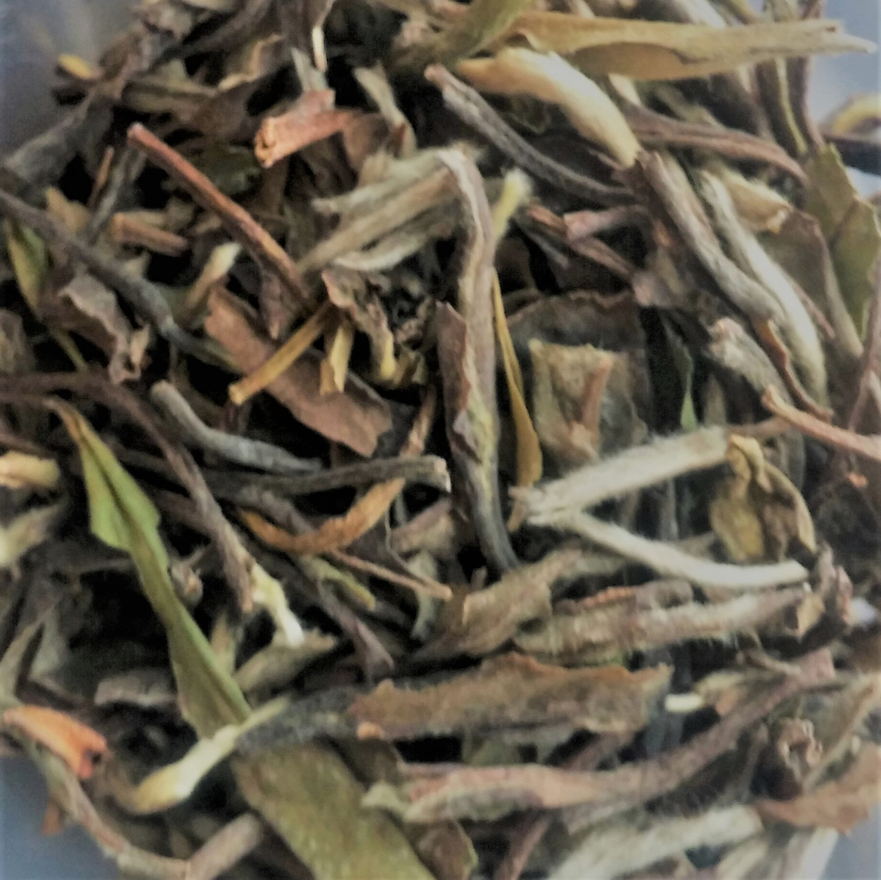 Cultivate Taste Explore Flavor Tea 4-Pack | WisconsinMade