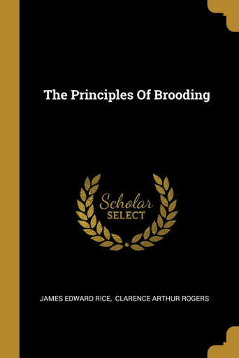 The Principles Of Brooding by James Edward Rice - Bookloop Books and Gifts