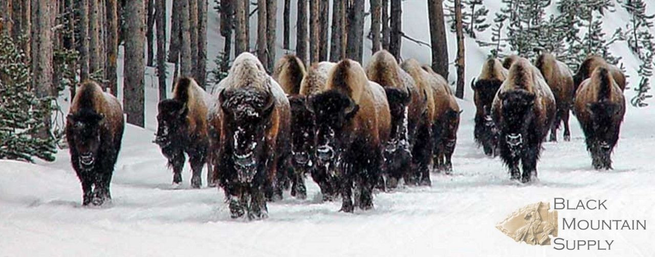 Premium large buffalo rug