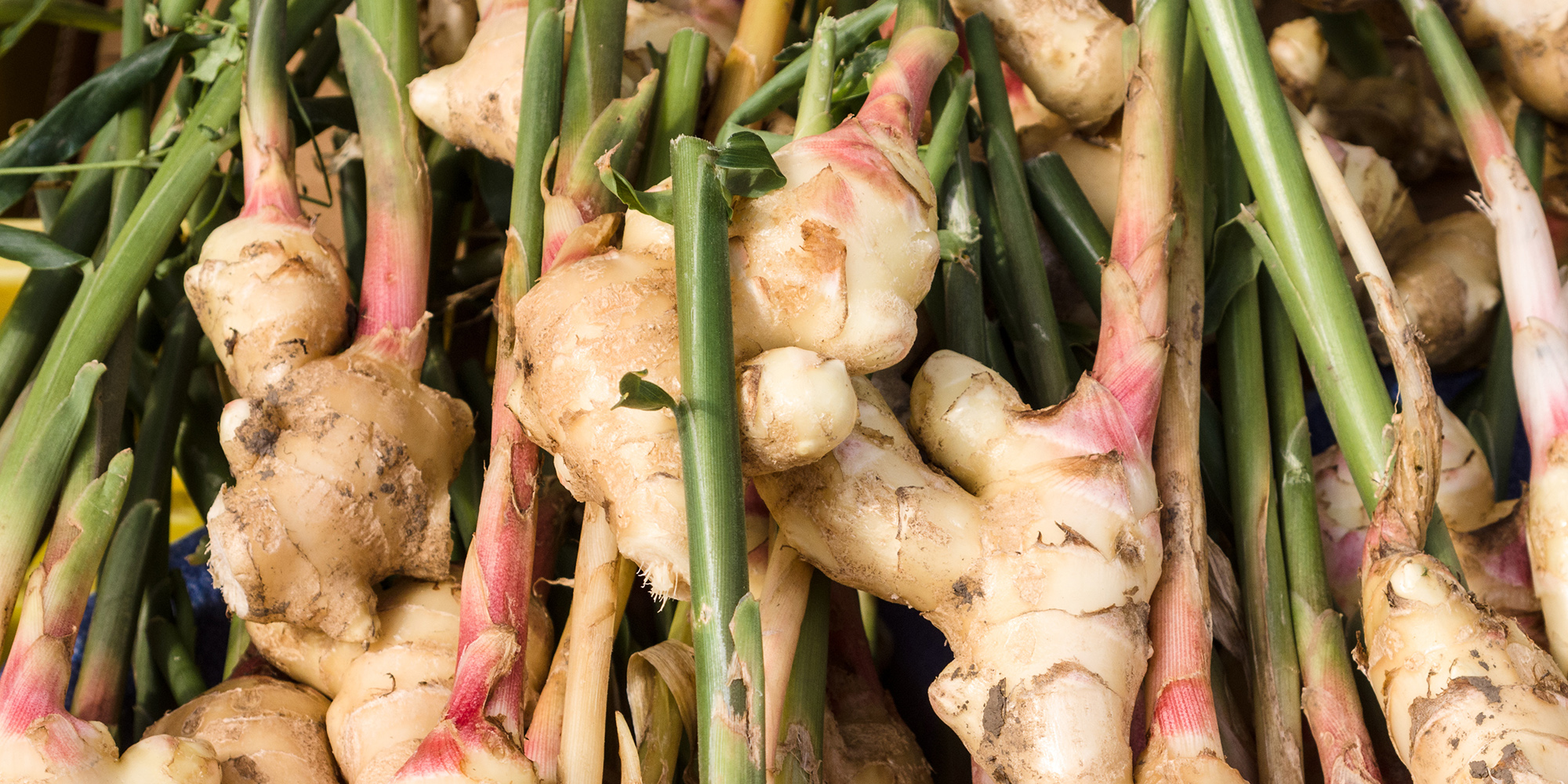 Ginger’s Benefits & Side Effects - Victoriahealth.com Ltd