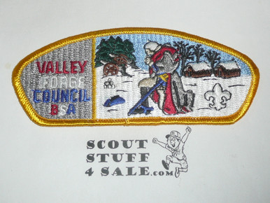 Valley Forge Council s8 CSP - Scout