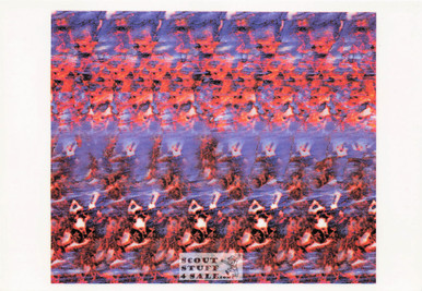 Dolphins - Magic Eye 3D Optical Illusion Postcard, Classico San ...