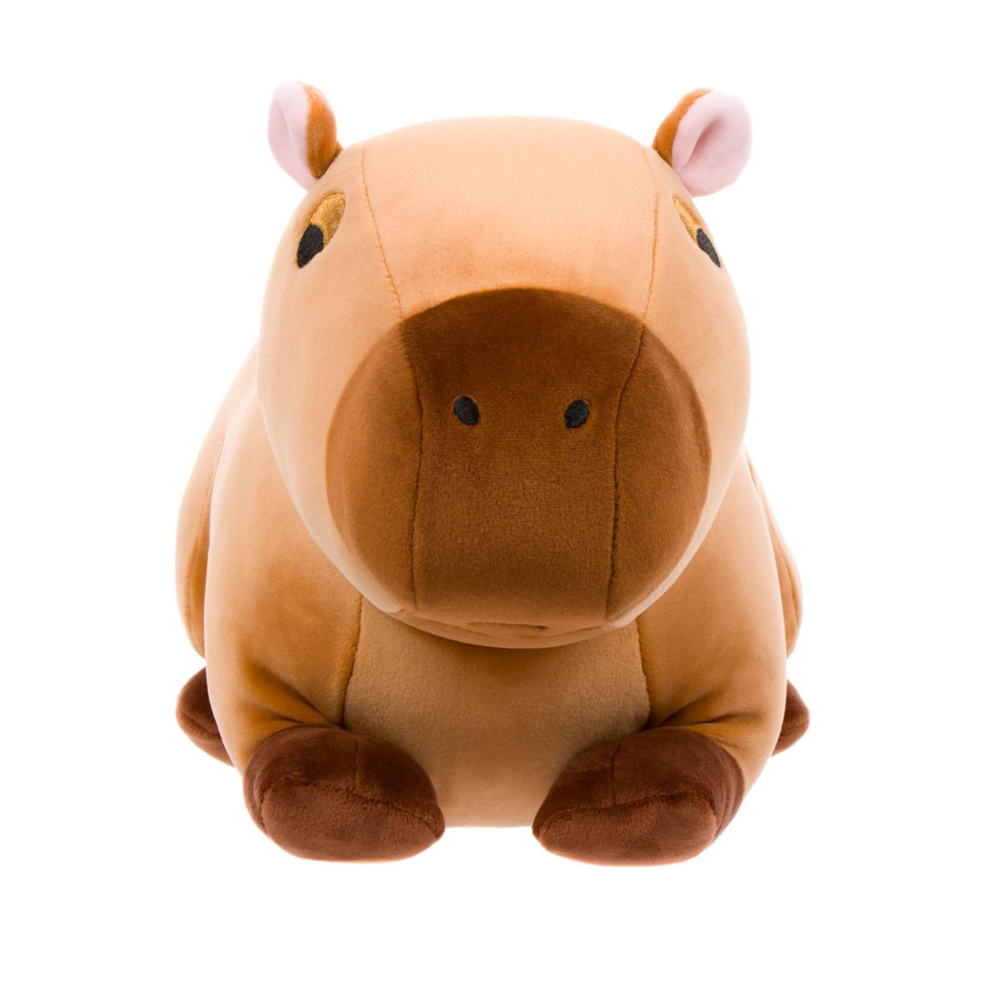 Anime Pop Culture | Shop Pop Culture and Kawaii Plushies, Stationery ...