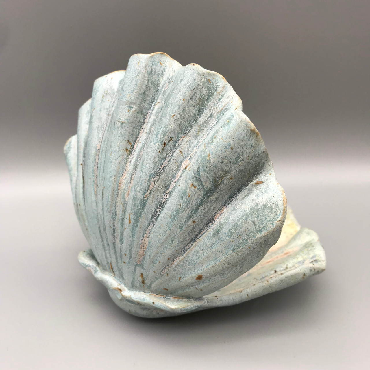 Washed Turquoise Clam Shell with Matte Finish by Monika Krajewska ...