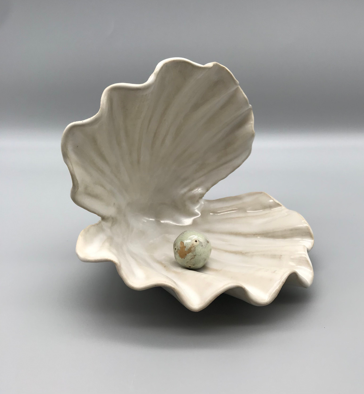 Pearl White Double Clam Shell with Polished Finish by Monika Krajewska ...