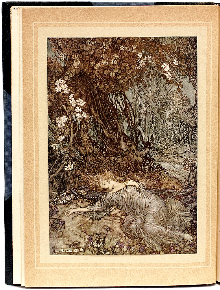 a midsummer night's dream illustrated by arthur rackham