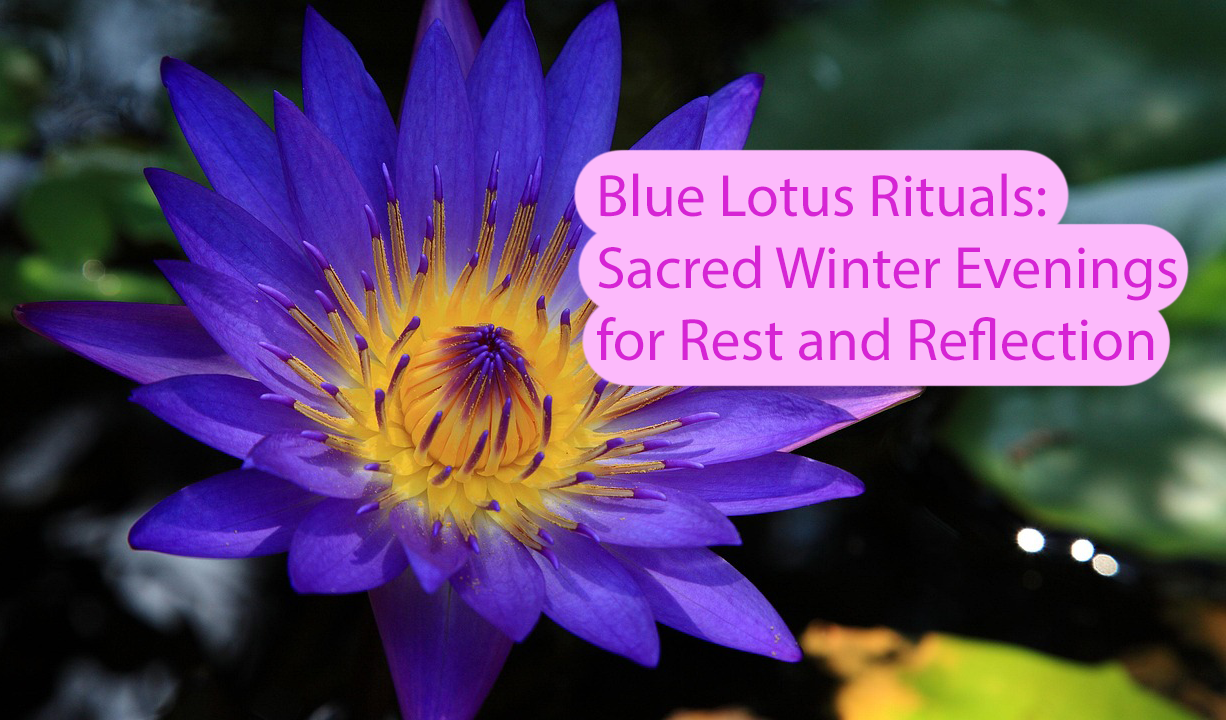 Blue Lotus Rituals: Sacred Winter Evenings for Rest and Reflection - My ...