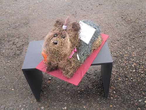 Dog tribute - Contemporary Flowers