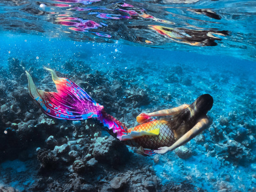 Triton's Daughters - Tropical Guardian Mermaid tail - Tamikah - Sereia Guardiã - Mermaid tails