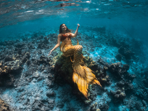 Triton's Daughters - Abyss Guardian Mermaid tail - Indira - Sereia Guardiã - Mermaid tails