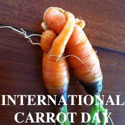 International Carrot Day Thursday 4th April - The Kitchen Gift Company