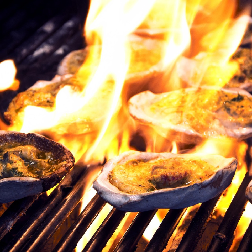 Ceramic Oyster Shells - 12 Pack - Goodwood Hardware