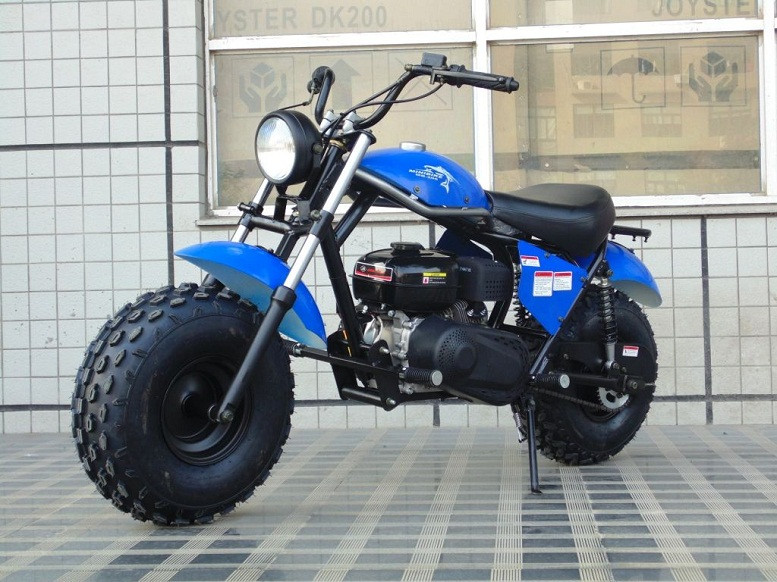 Buy TRAILMASTER MB200-2 MINI BIKE for Sale at lowestpriceatv.com