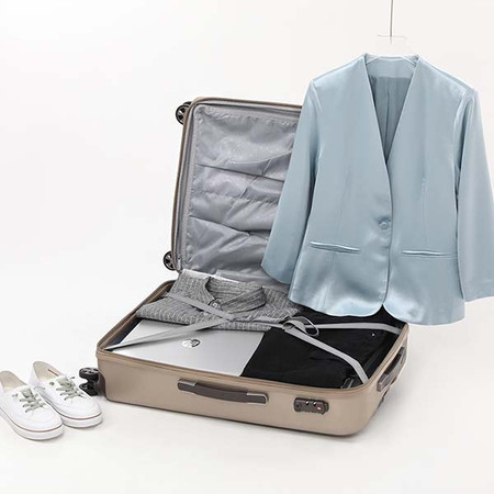 GOBY LONDON Suitcase (Gold) (GB-2839)
