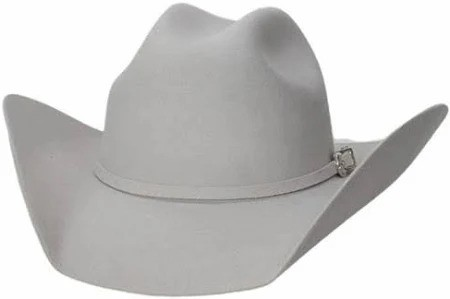 Justin 3X Riata Platinum - Hats Wools - Jf0357Riatxlp | eBay