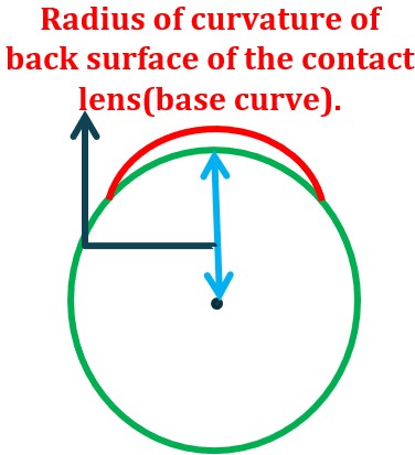 Contact Lens Base Curve & Diameter Explained (and why they are so ...