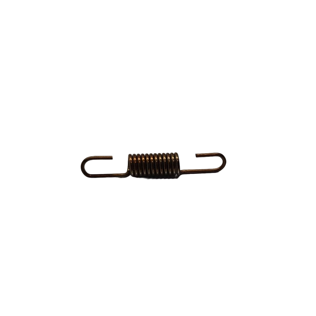 Briggs and Stratton Idle Governor Springs | Briggs & Stratton parts