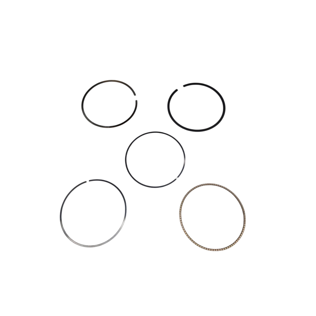 Briggs and Stratton ring set | Briggs & Stratton parts