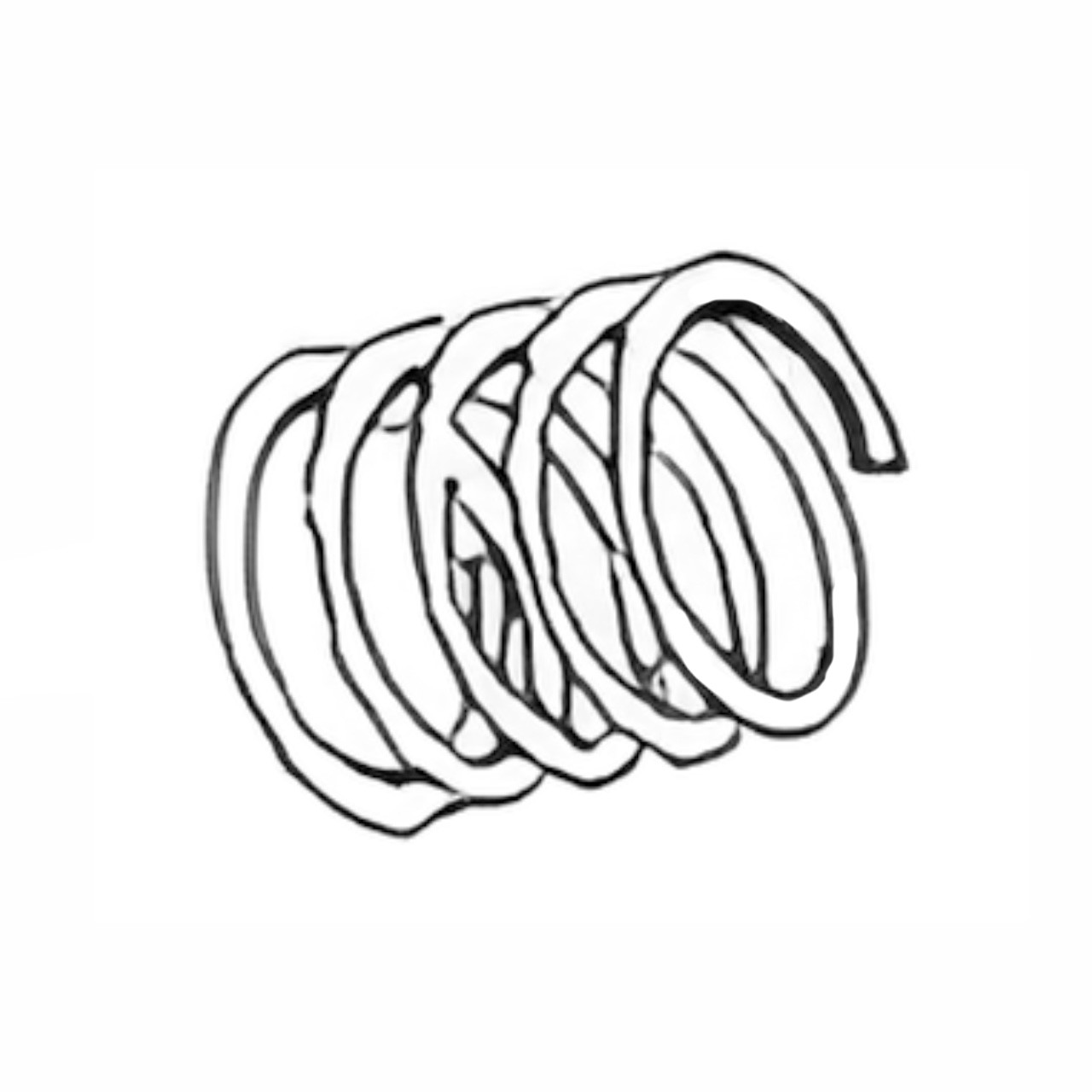 Valve Springs | Briggs & Stratton Genuine Parts