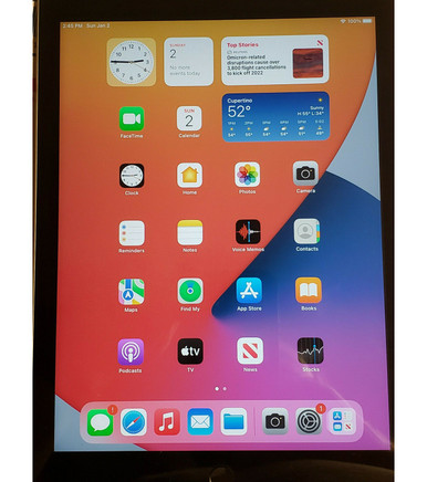 Apple iPad 5th Gen A1822 128GB Space Gray Condition Good - Sage ...