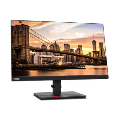 Lenovo ThinkVision T24i-20 24" Monitor Condition Excellent - Sage ...