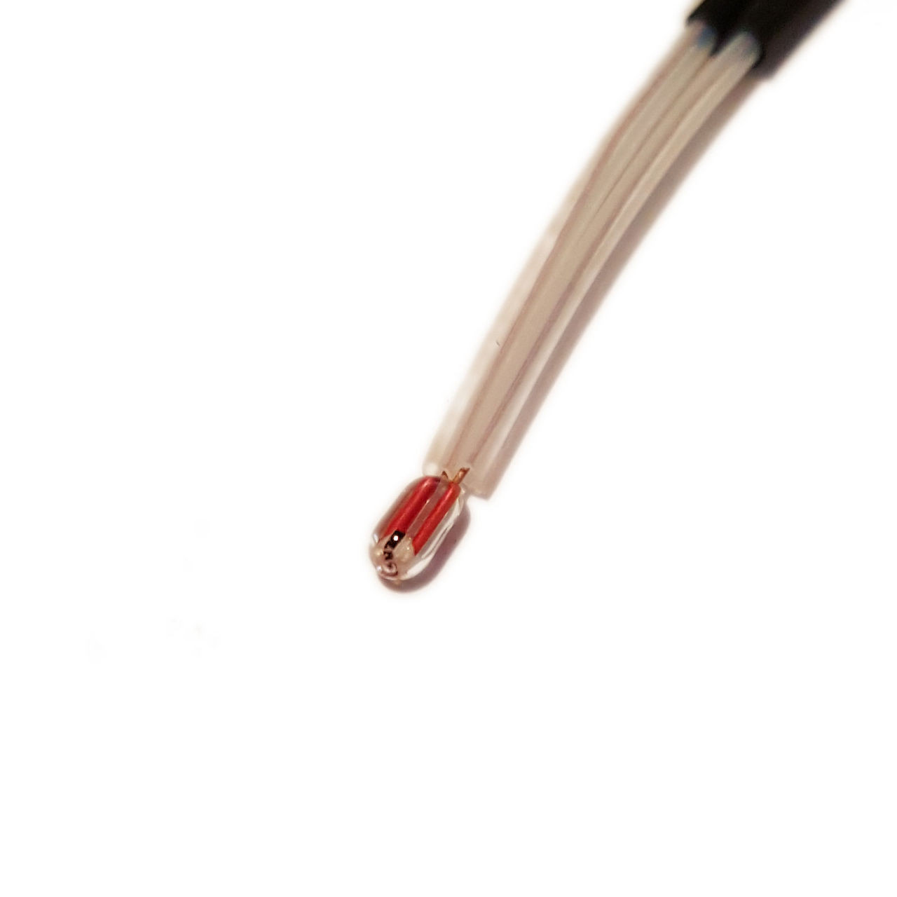 NTC 100K Thermistor with Connector | Canada - SPOOL3D