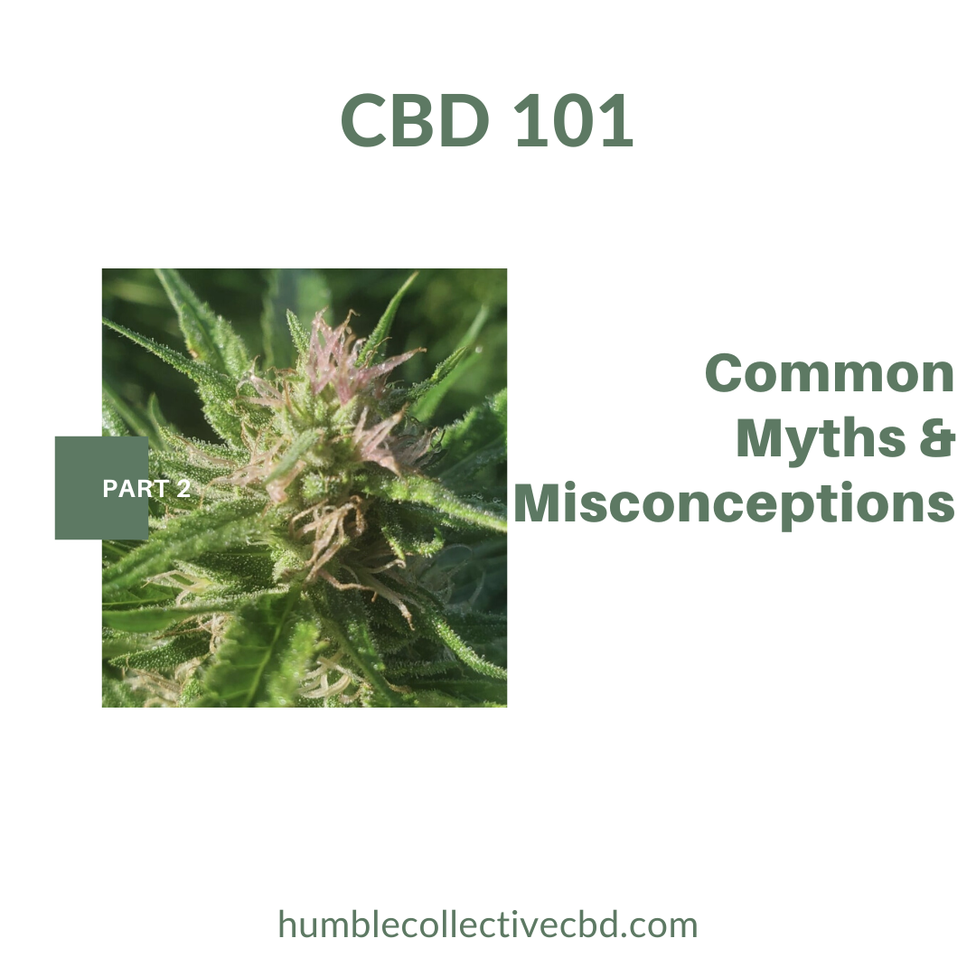 CBD 101: Part 2 "CBD Myths and Misconceptions" - Humble Collective