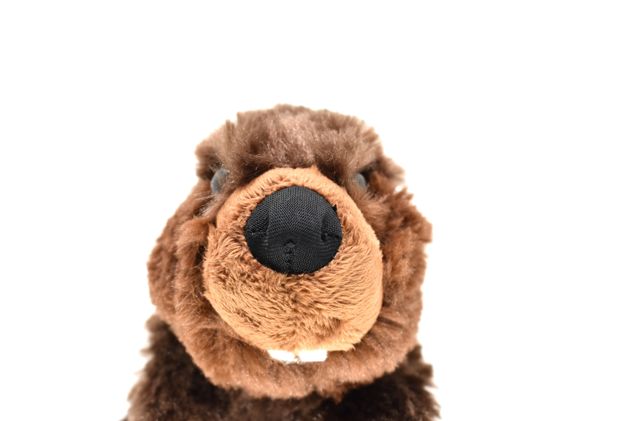 Beaver , Very Nice Plush, Stuffed Animal, Educational, Toy, Kids ...