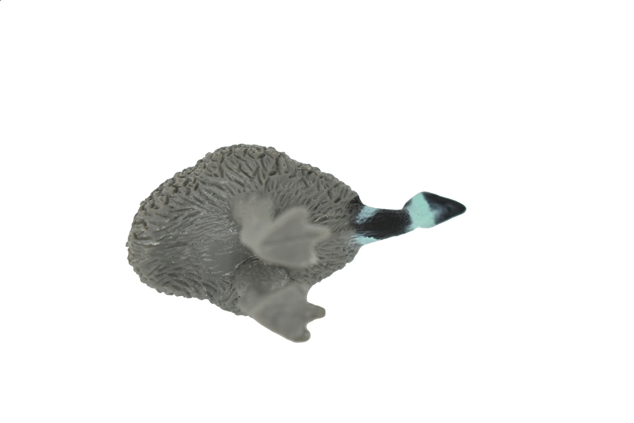 Emu, Australian Bird Plastic Educational Toy, Kids, Realistic Figure ...