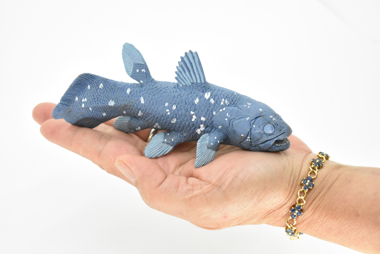 Coelacanth, Fish, Museum Quality Plastic Reproduction Hand Painted 5.5 ...