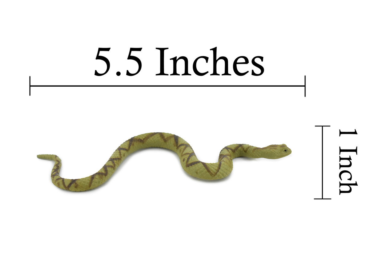 Snake, Diamondback Rattlesnake, Rubber Reptile, Educational, Realistic ...