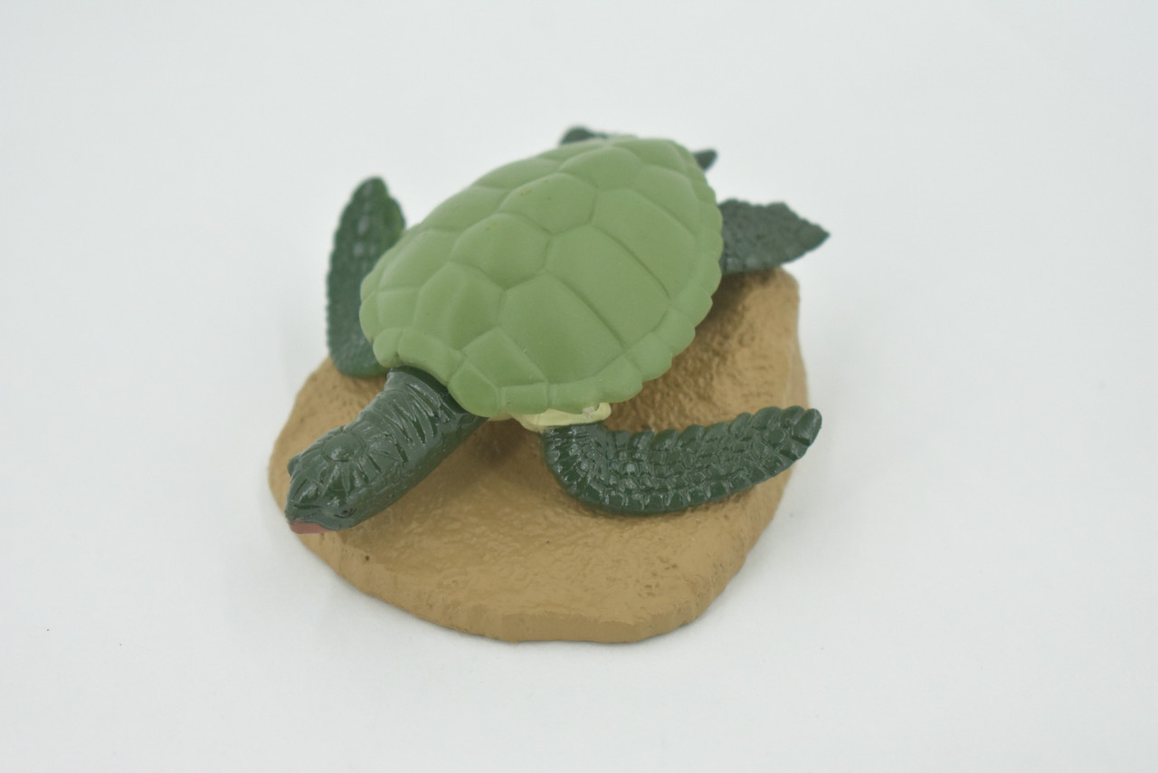Sea Turtle, 4 Stages, Learn the Sea Turtle Life Cycle, Plastic Figure ...