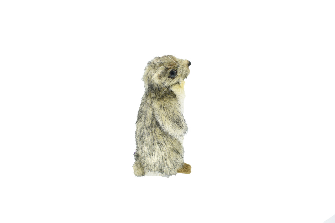 Groundhog, Marmot, Very Nice Plush, Stuffed Animal, Educational, Toy ...