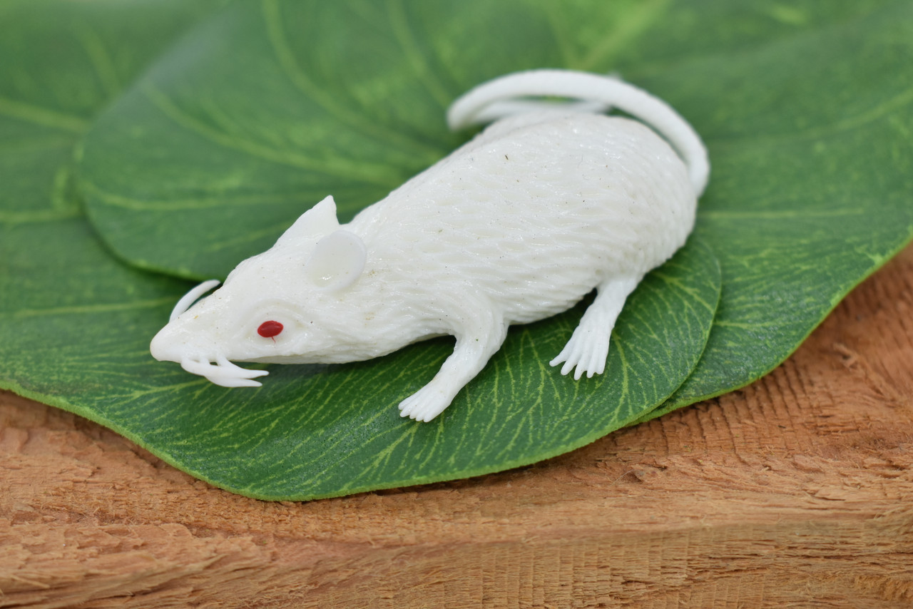 Mouse Mice, Realistic Small White Fake Mouse - F1 B57 - Collectible ...