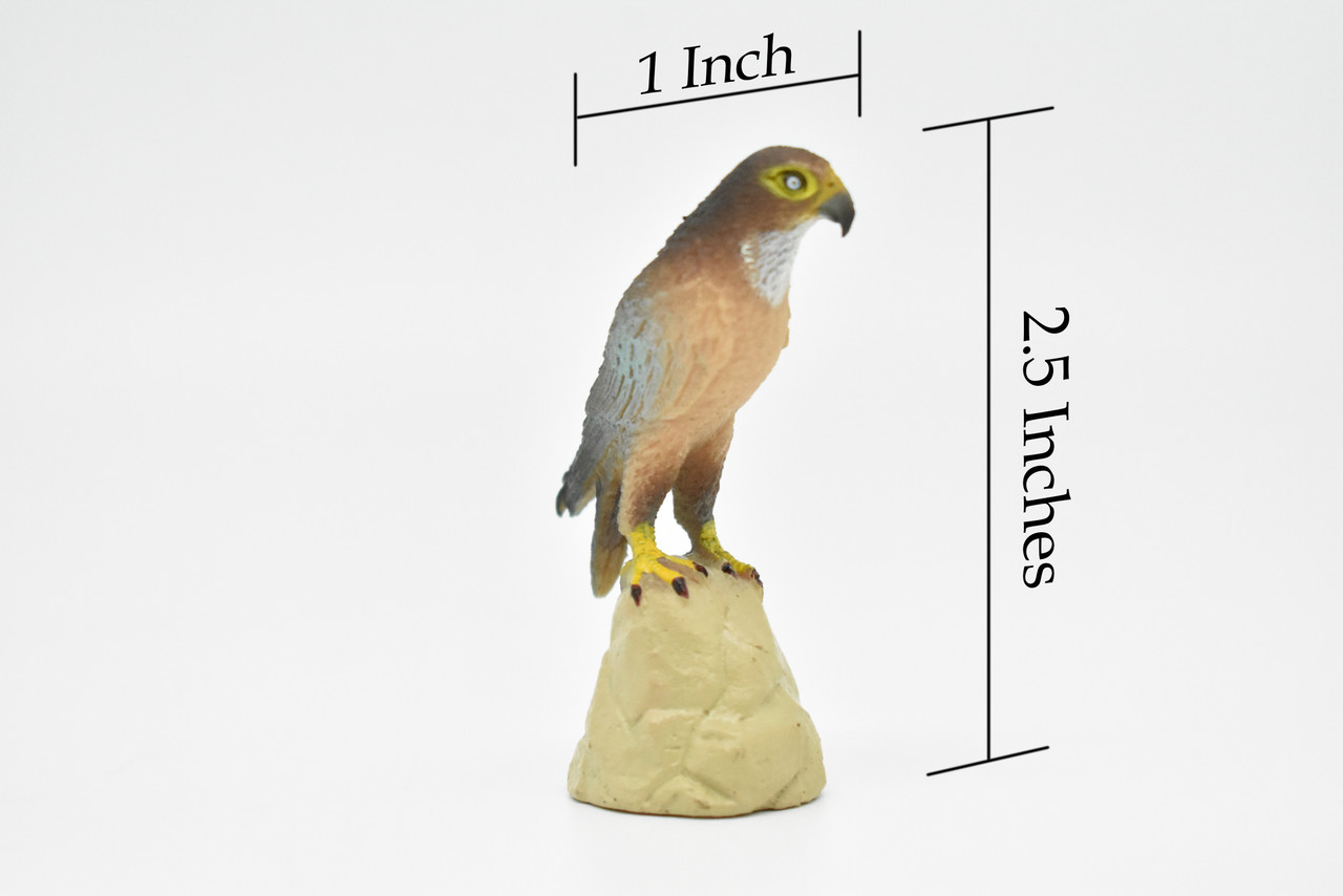Falcon, Peregrine, Museum Quality Toy , Plastic Replica, Educational ...