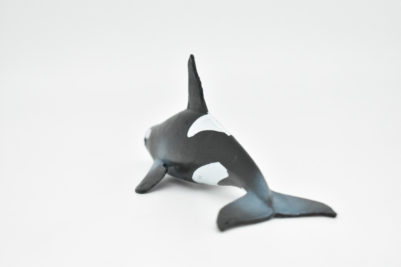 Orca, Killer Whale, Very Nice Rubber Animal, Educational, Toy, Kids ...
