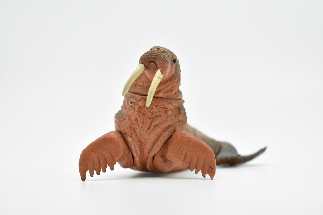 Walrus, Moveable Legs, Realistic Rubber Replica, Educational, Figure ...